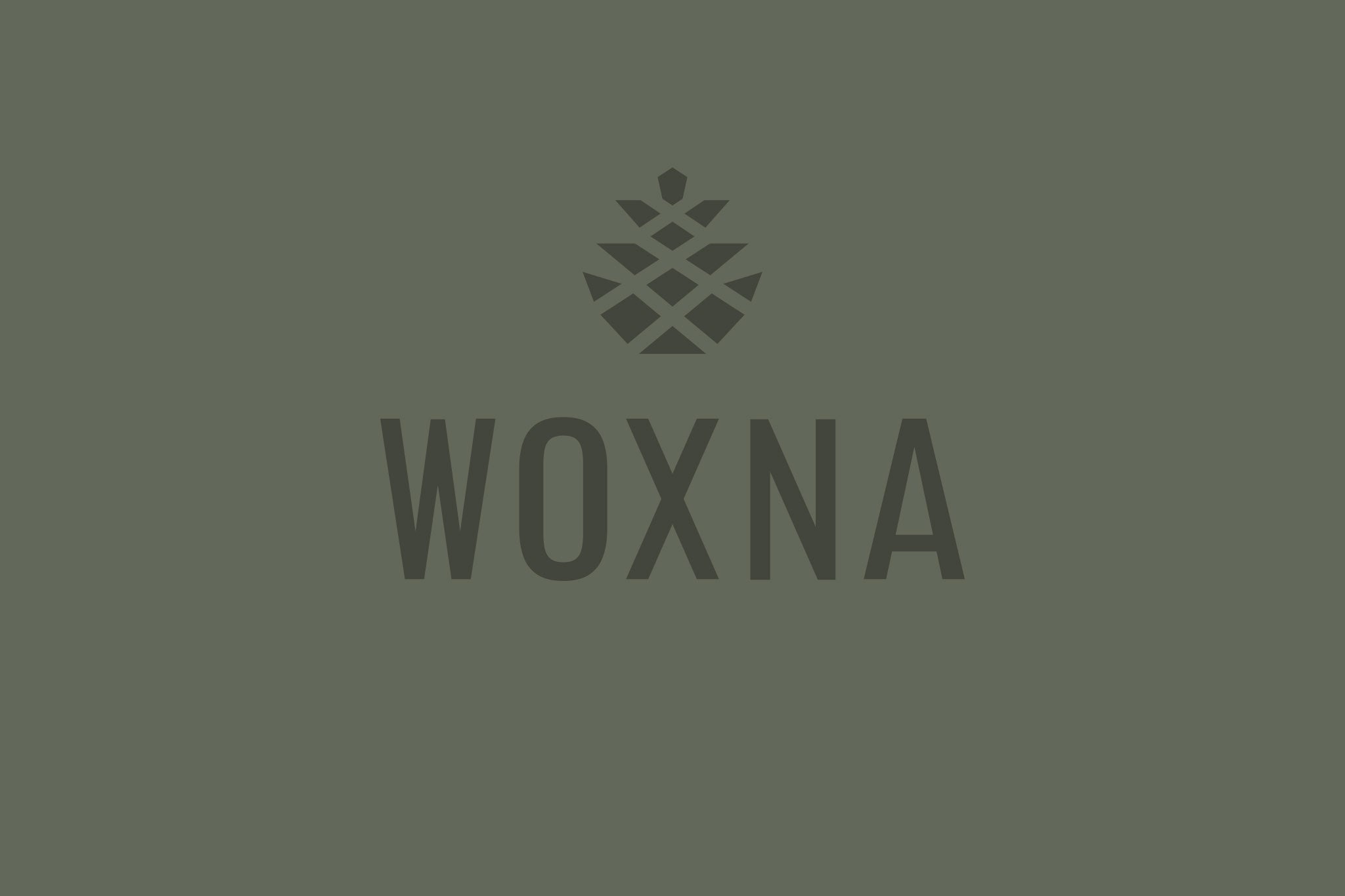 The Story Behind Our Premium Swedish Hand Saws | Woxna – Woxna